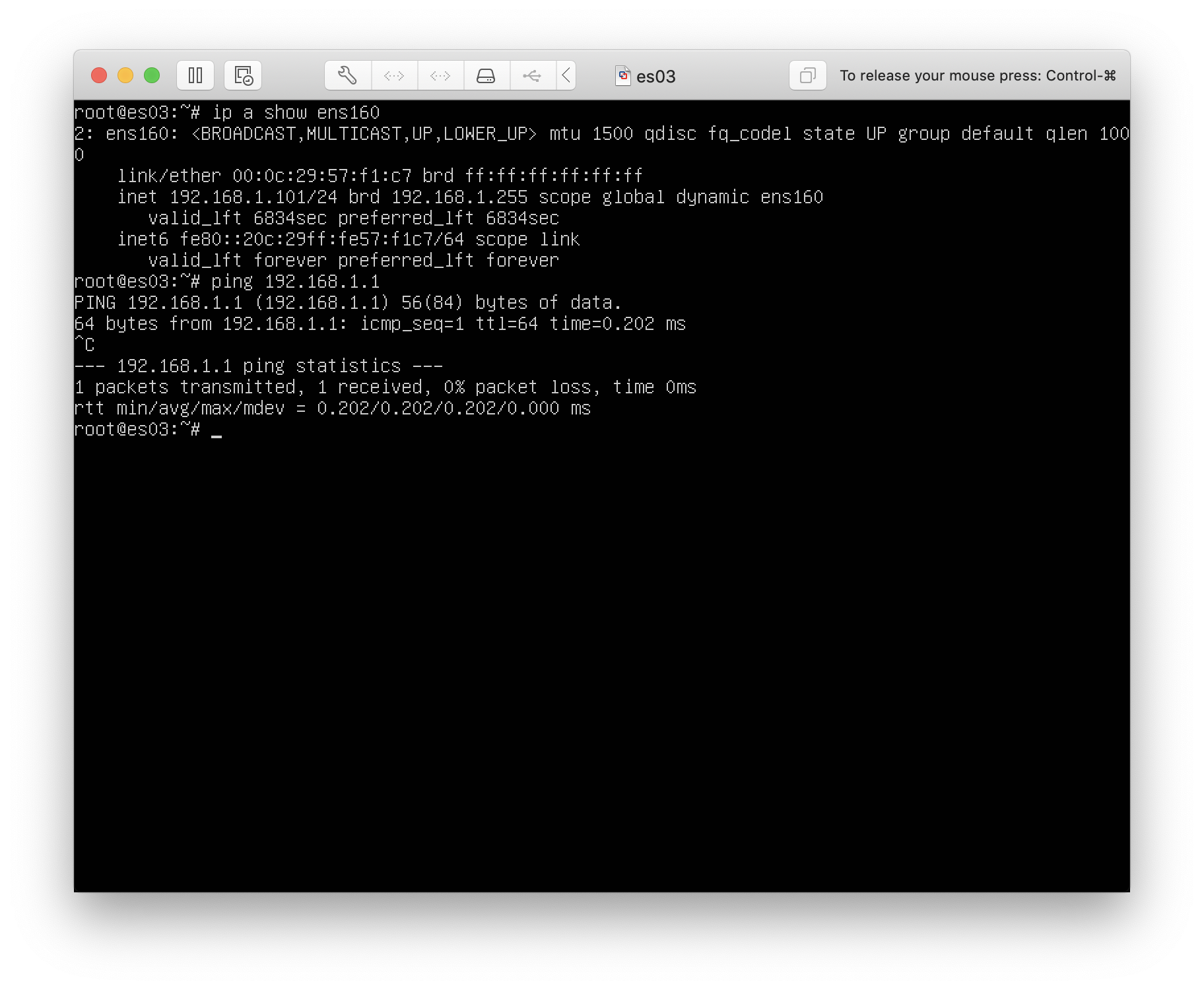 Installation of an ESXi pfSense Server with a Dedicated IP