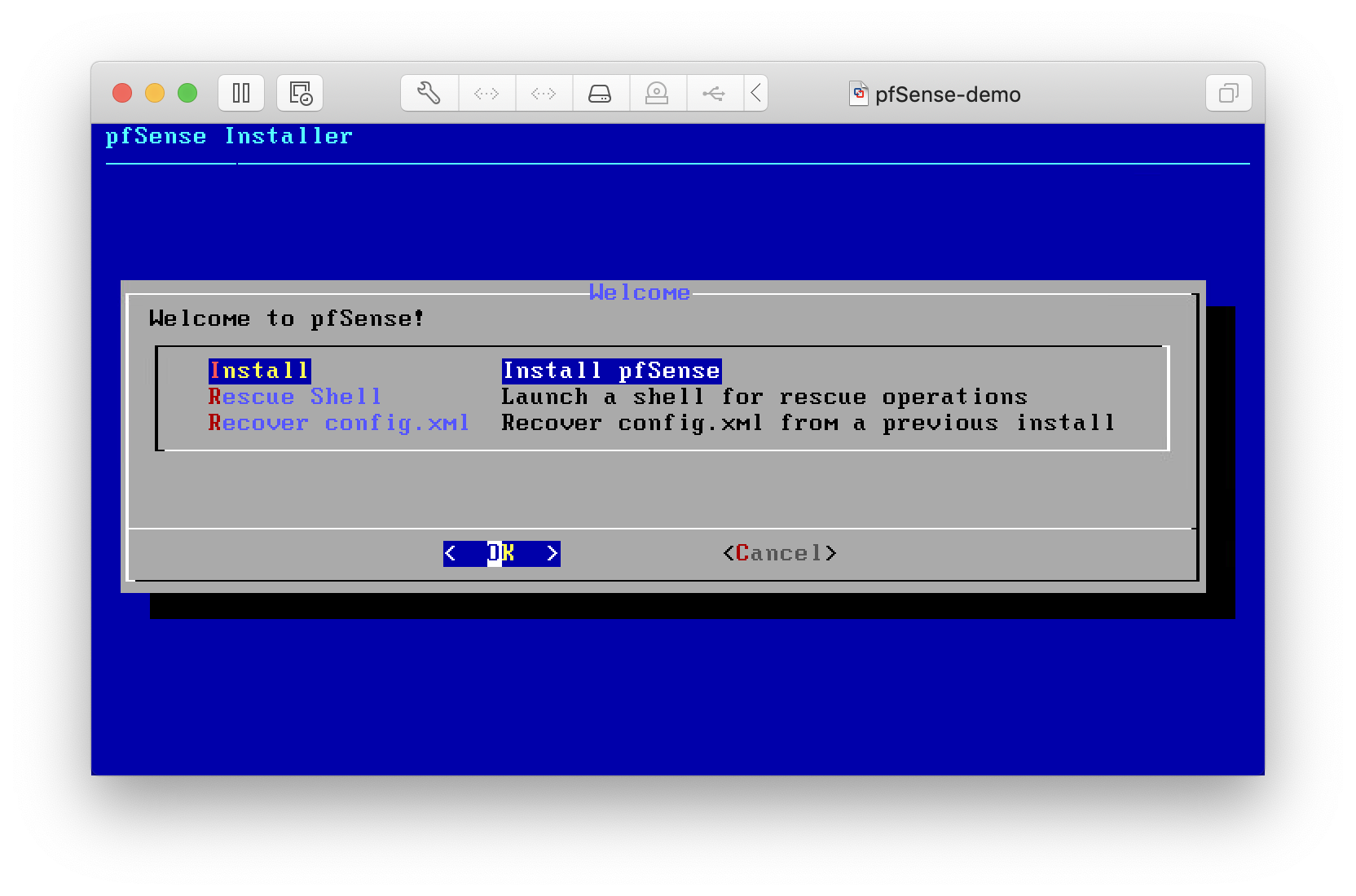 Installation of an ESXi pfSense Server with a Dedicated IP