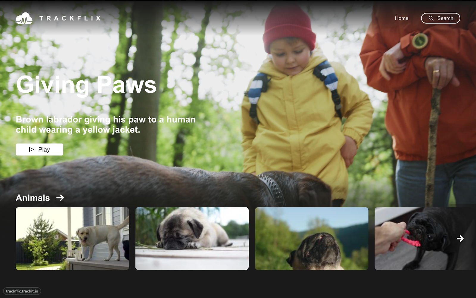 TrackFlix Suite: Launch Your Own Streaming Ecosystem